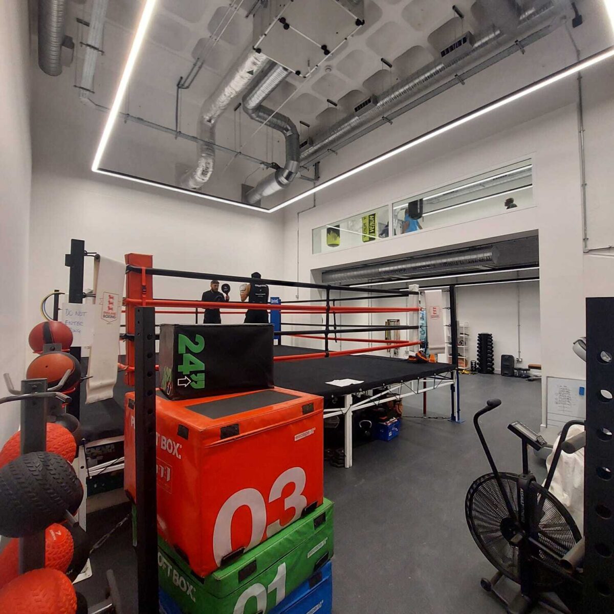 Brixton Rec Boxing Gym – Dannatt Johnson Architects
