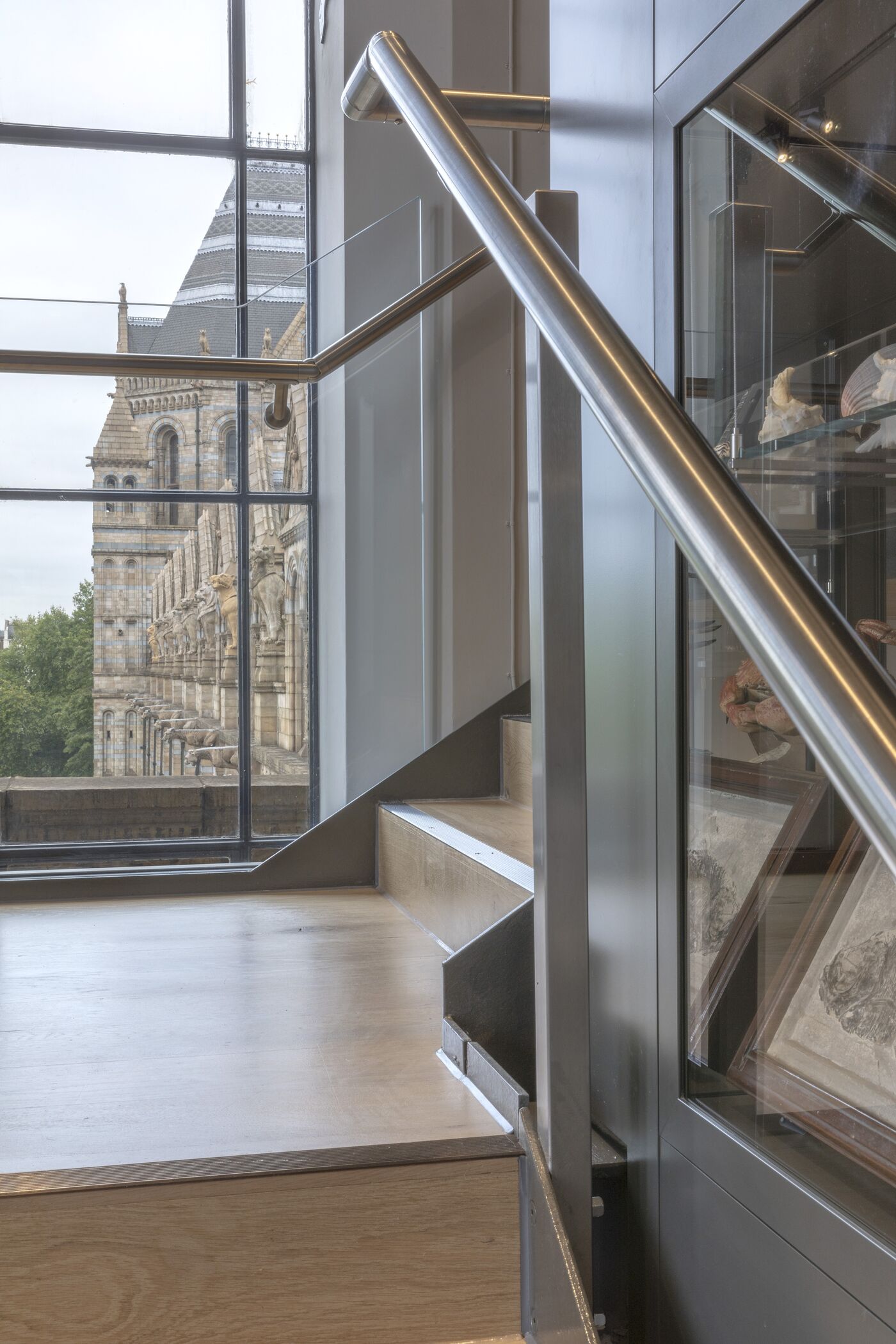 The Natural History Museum, Anning Rooms – Dannatt Johnson Architects